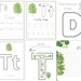 DECIDUOUS TREES Unit Study, Life Cycle, Anatomy, Nature Study, Science ...