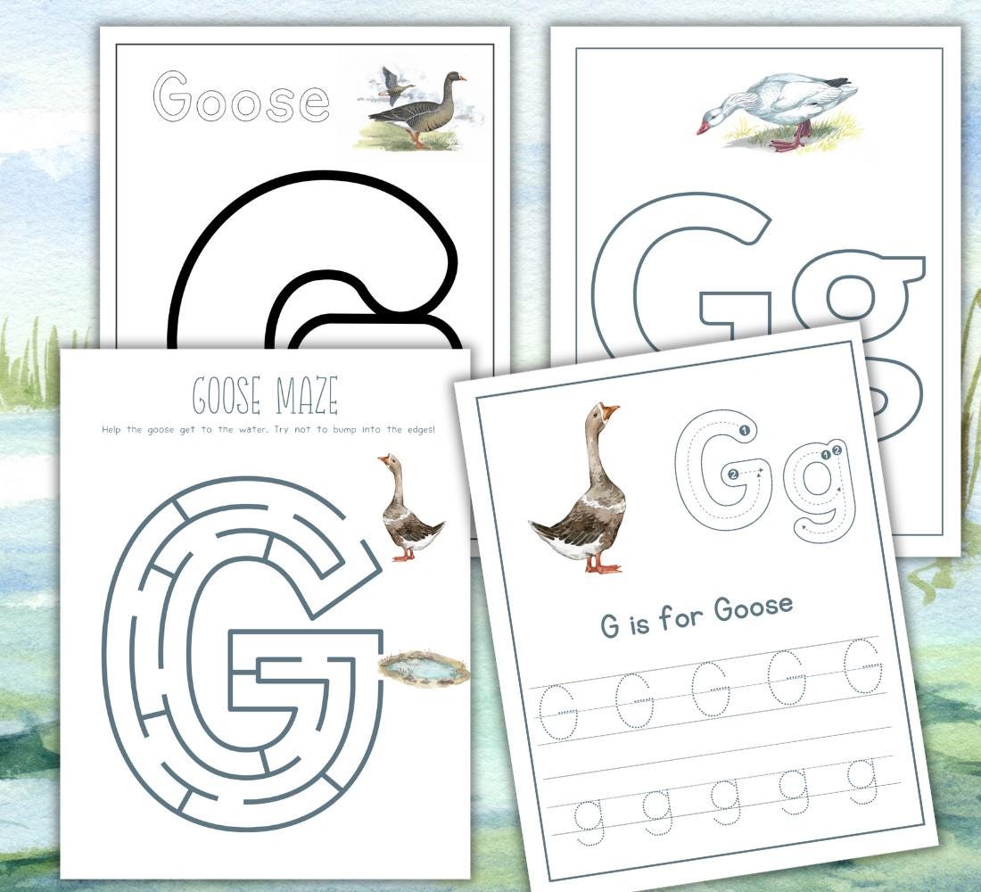 Goose Unit Study: Life Cycle, Anatomy, and Activities (homeschool ...