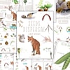 BIGFOOT Unit Study, Sasquatch, Anatomy, Nature Study, Science ...