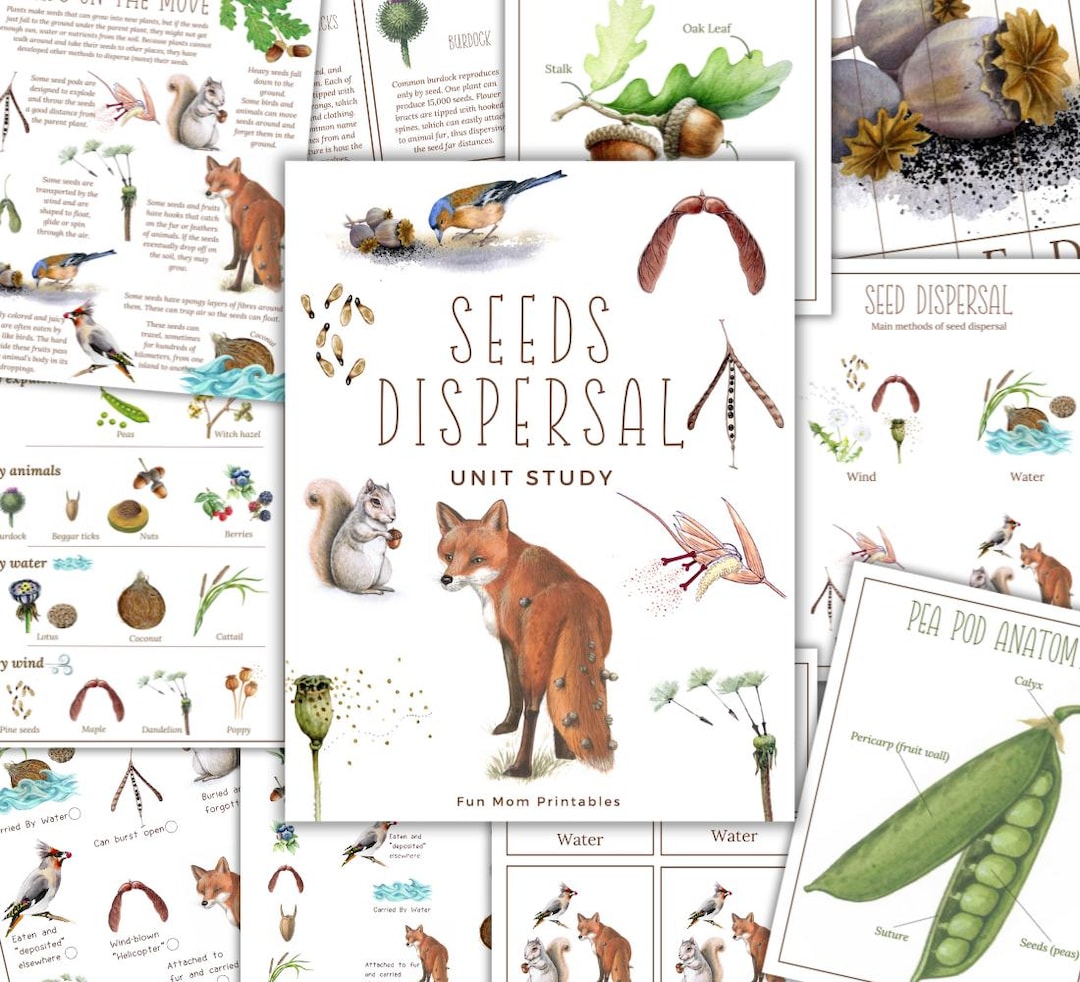 SEED DISPERSAL Unit Study, Anatomy, Nature Study, Science, Handwriting ...