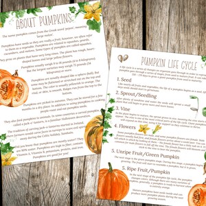 PUMPKIN Unit Study Life Cycle Anatomy Nature Study - Etsy