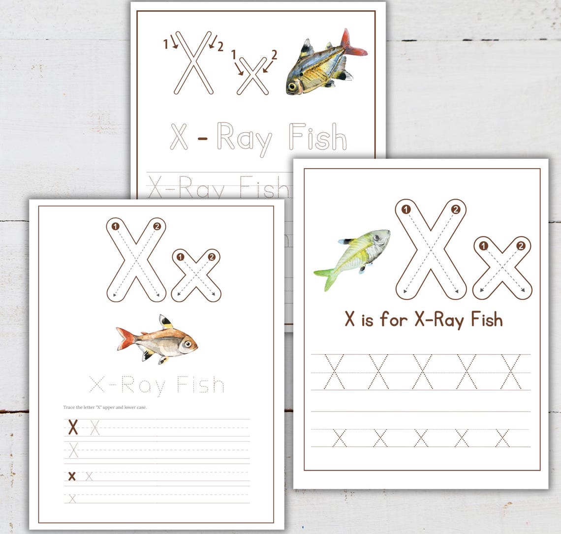 Letter X Activity: X-ray Fish Alphabet Learning (printable Digital ...