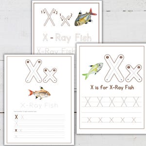 LETTER of the WEEK, X is for X-ray Fish, Letter X Activities, Alphabet ...