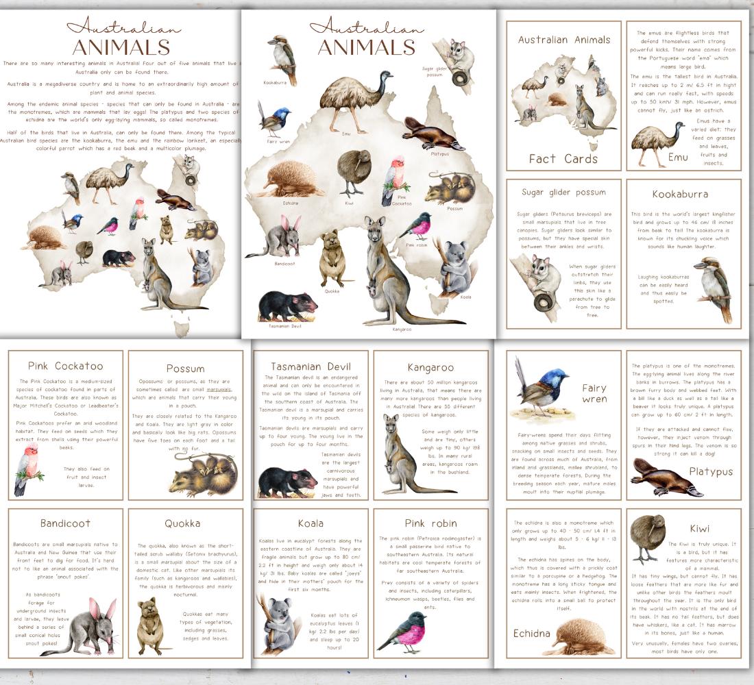 World Animals Unit Study Bundle: Australian, African, Antarctic ...