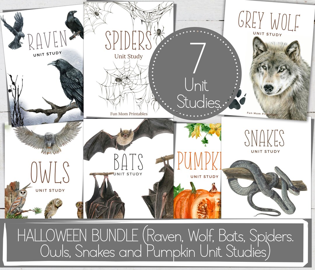 HALLOWEEN BUNDLE, Pumpkin, Spiders, Raven, Snake, Bats, Wolf and Owls ...