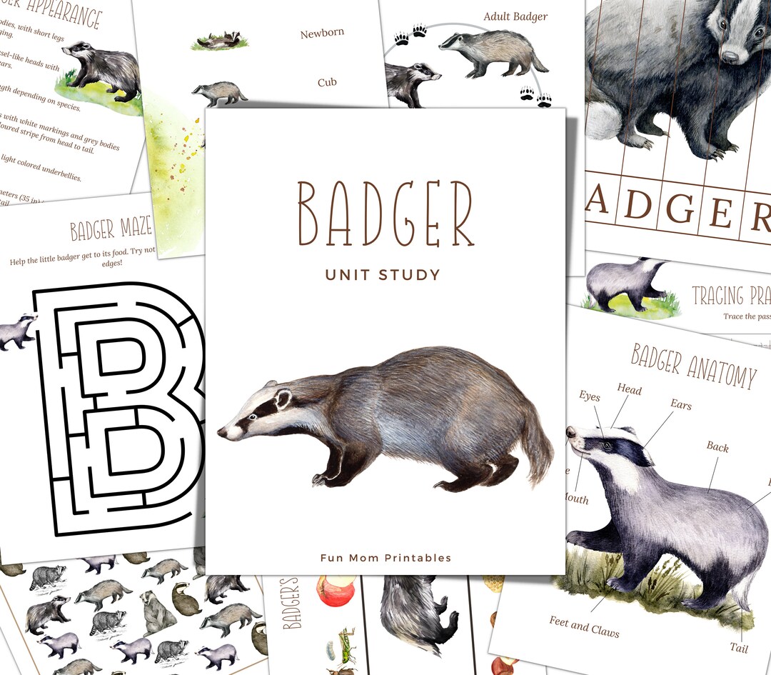 BADGER Unit Study, Life Cycle, Anatomy, Nature Study, Science ...