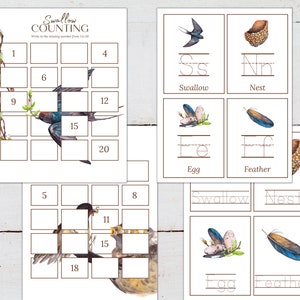 Swallow Unit Study: Homeschool Science, Anatomy & Life Cycle (instant ...