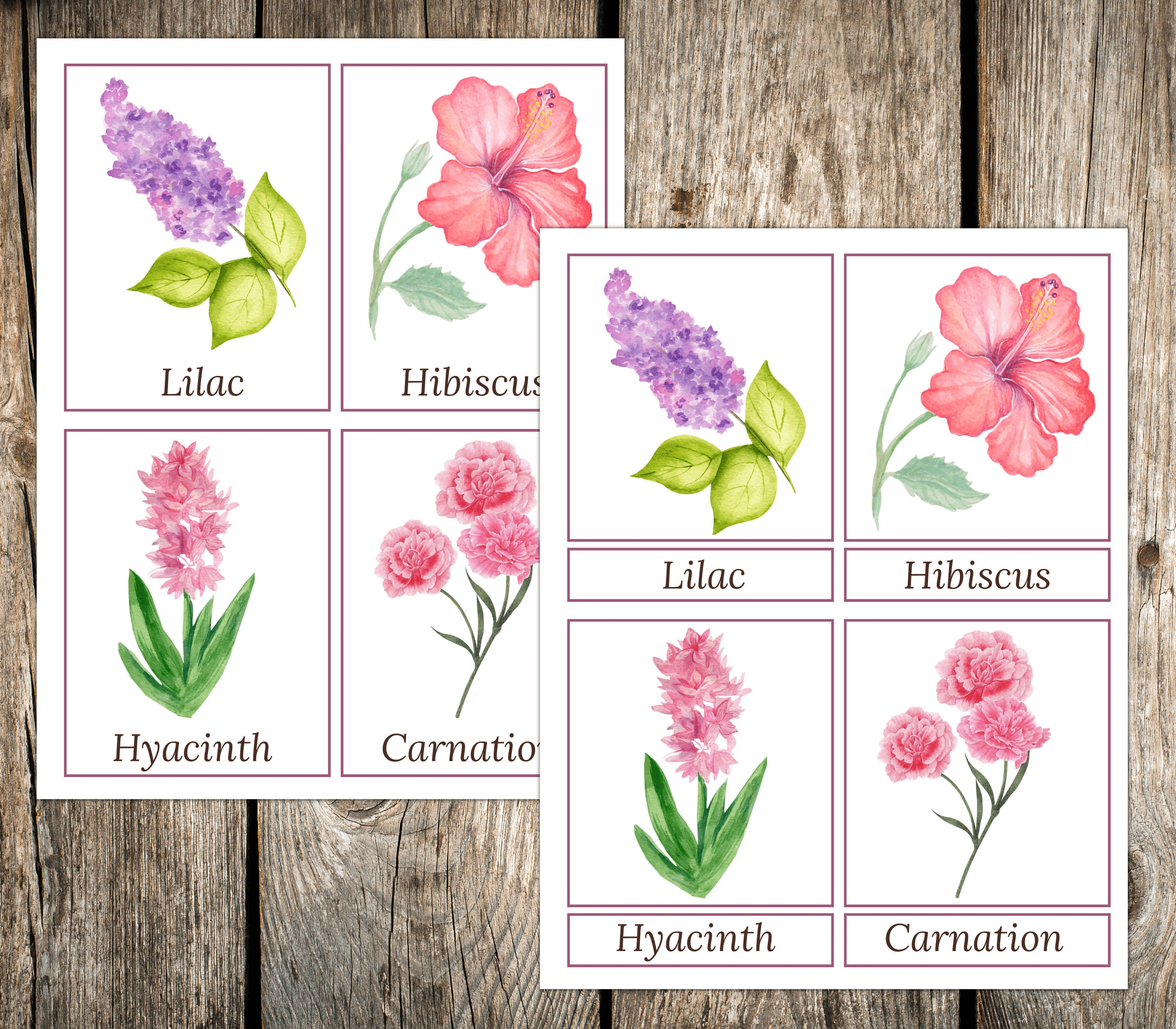 Flower 3-part Cards Recognition Cards Flowers Spring - Etsy