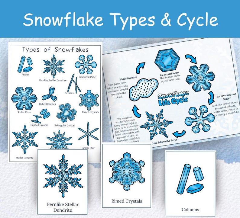 SNOWFLAKE Types and Cycle, Posters and 3-part Cards, Science ...