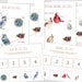 WINTER BIRDS Unit Study, Nature Study, Science, Handwriting, Homeschool ...