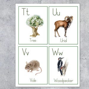 FOREST NATURE Alphabet Flashcards. Watercolor Letter Cards. Kids ...