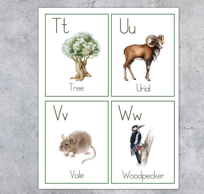 FOREST NATURE Alphabet Flashcards. Watercolor Letter Cards. Kids ...