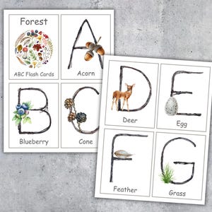 Forest ABC Flashcards, Instant Download - Etsy