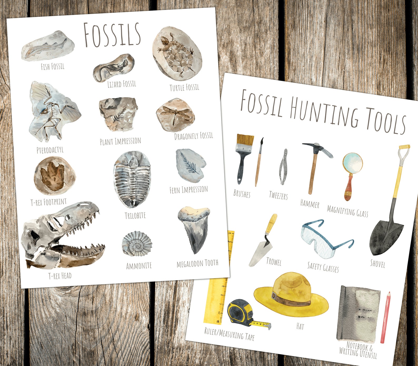 FOSSILS Unit Study Anatomy Nature Study Science - Etsy
