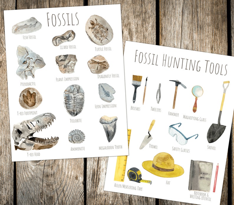 FOSSILS Unit Study Anatomy Nature Study Science - Etsy