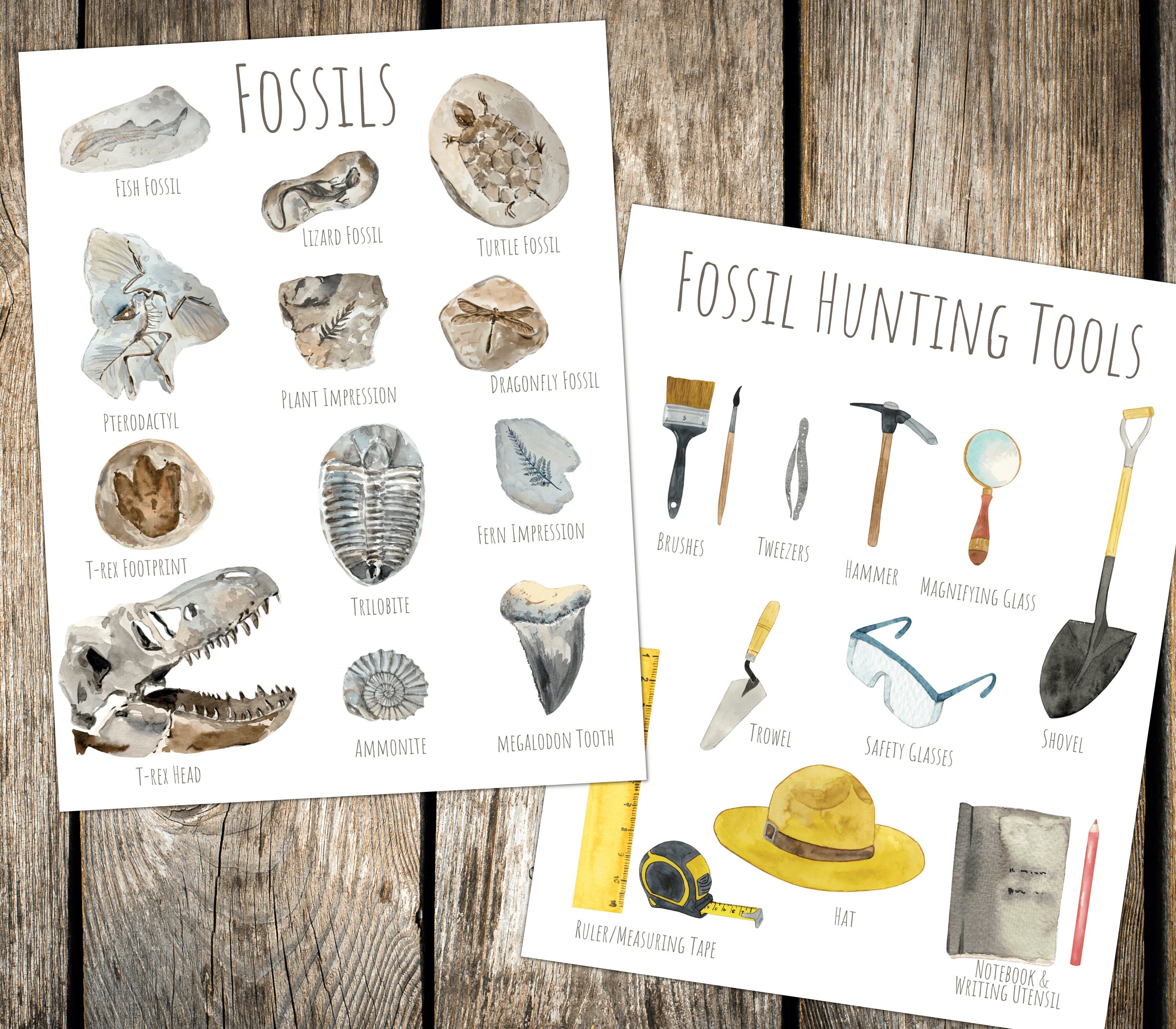 Fossil Hunting Tools Art Print