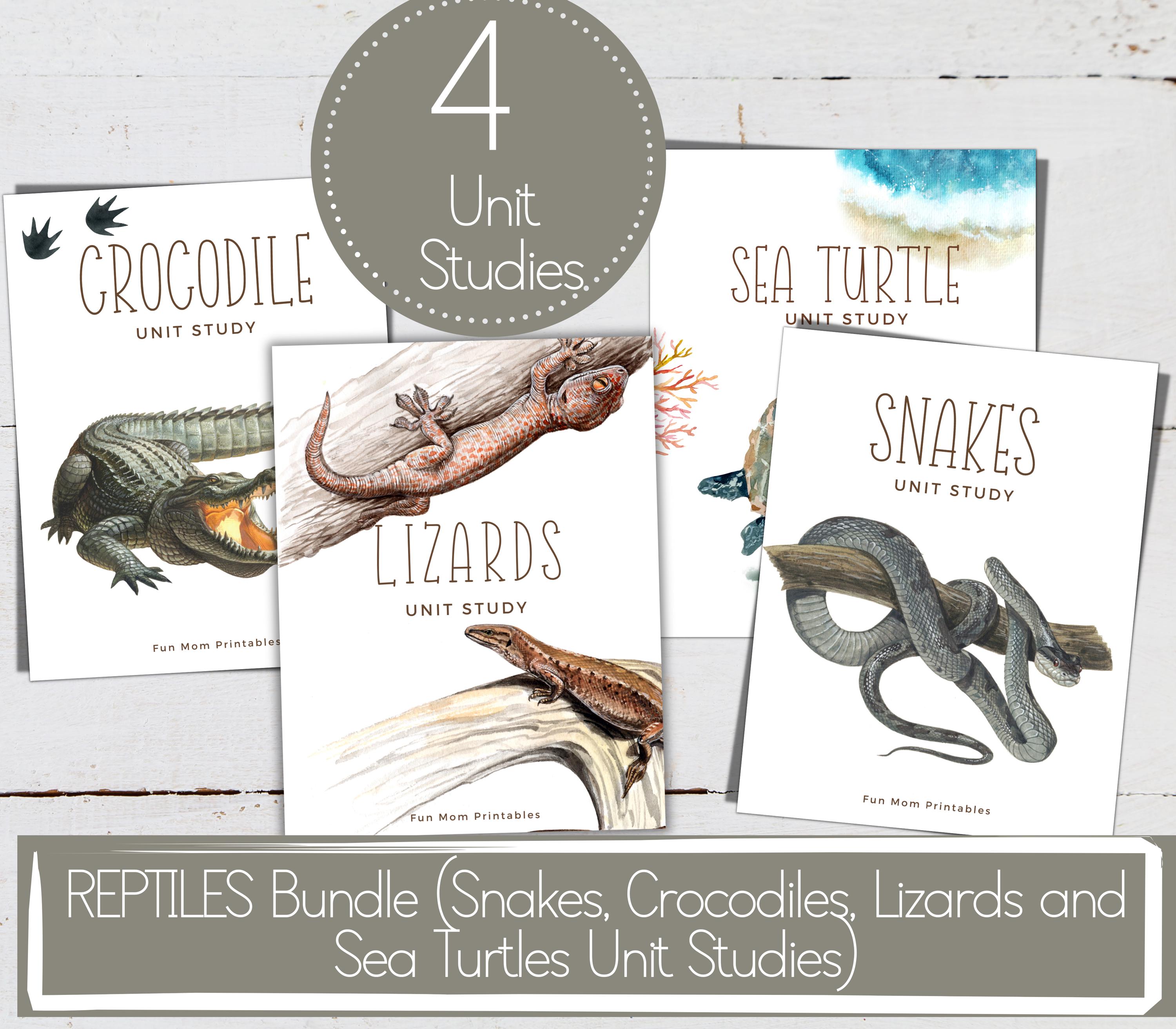 Reptiles Unit Study Bundle: Snakes, Crocodile, Sea Turtle (homeschool ...