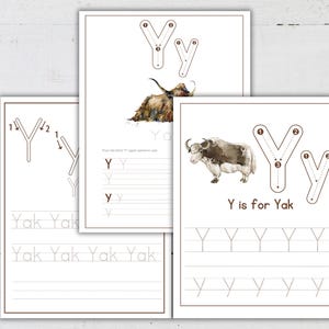 LETTER of the WEEK, Y is for Yak, Letter Y Activities, Alphabet ...