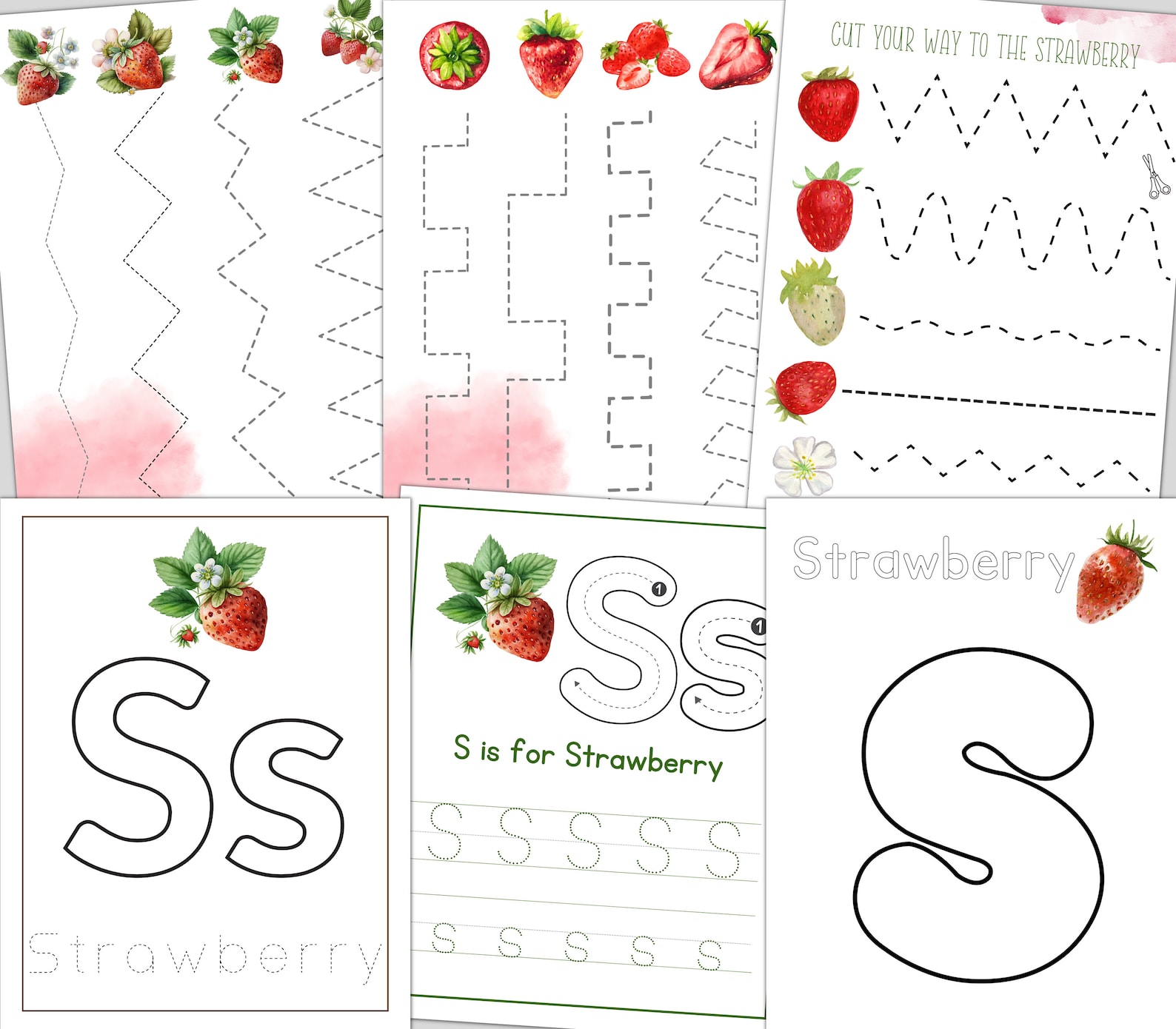 STRAWBERRIES Unit Study, Life Cycle, Anatomy, Nature Study, Science ...