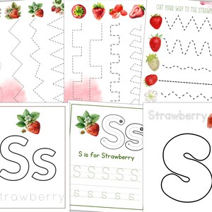STRAWBERRIES Unit Study, Life Cycle, Anatomy, Nature Study, Science ...