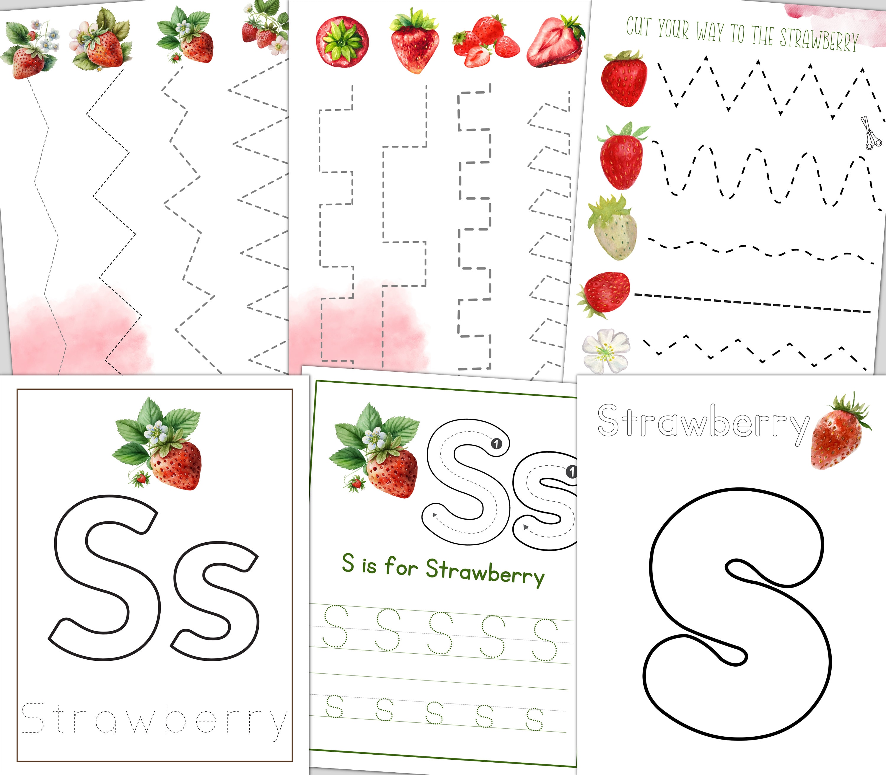 STRAWBERRIES Unit Study, Life Cycle, Anatomy, Nature Study, Science ...