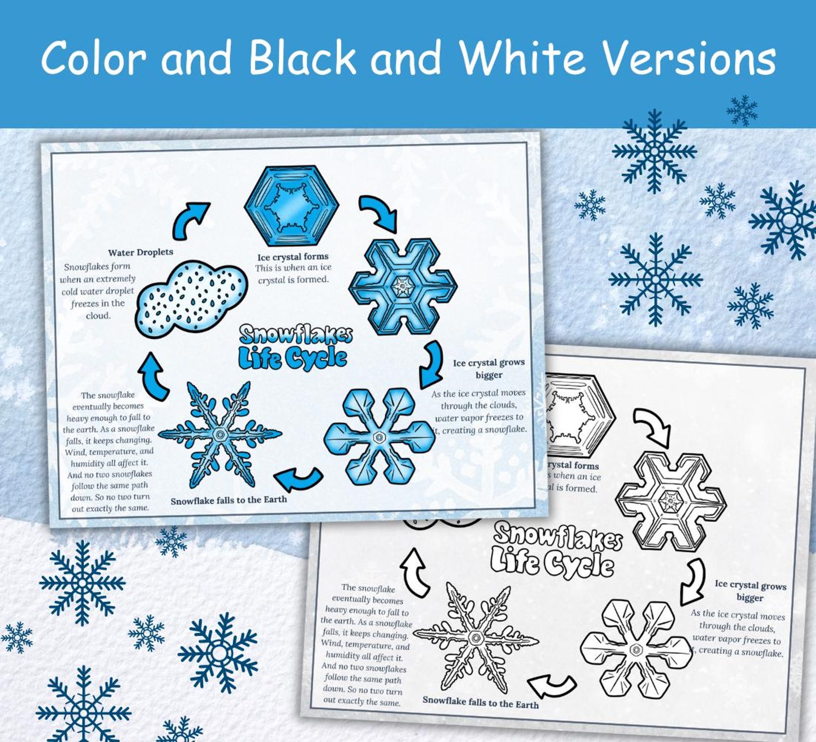 SNOWFLAKE Types and Cycle, Posters and 3-part Cards, Science ...