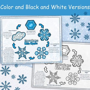 SNOWFLAKE Types and Cycle, Posters and 3-part Cards, Science ...