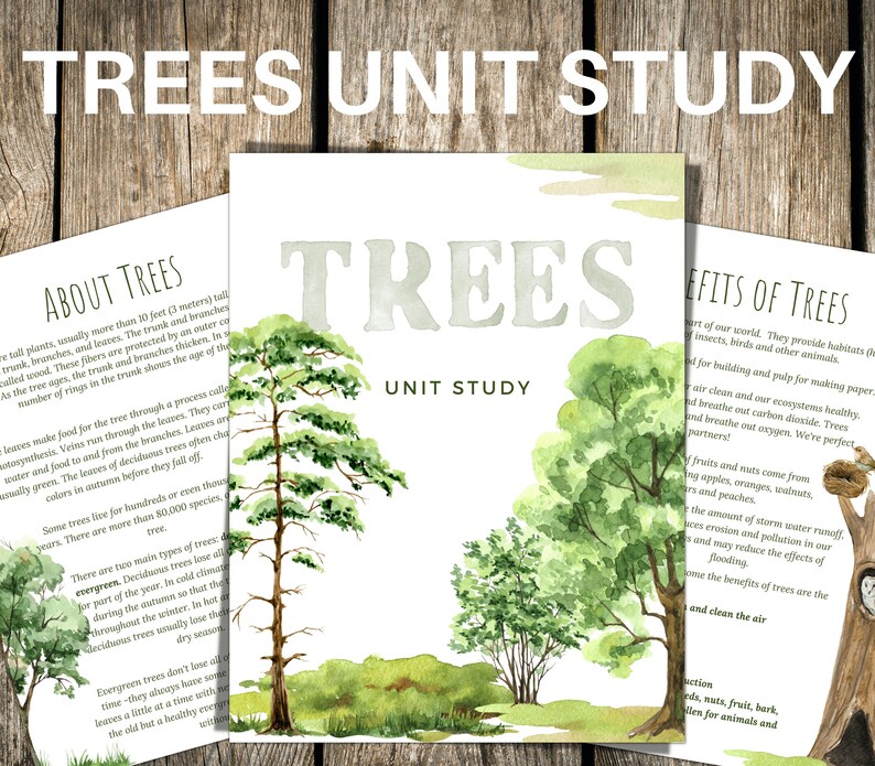 TREES & LEAVES Unit Study Deciduous Evergreen Life Cycle - Etsy