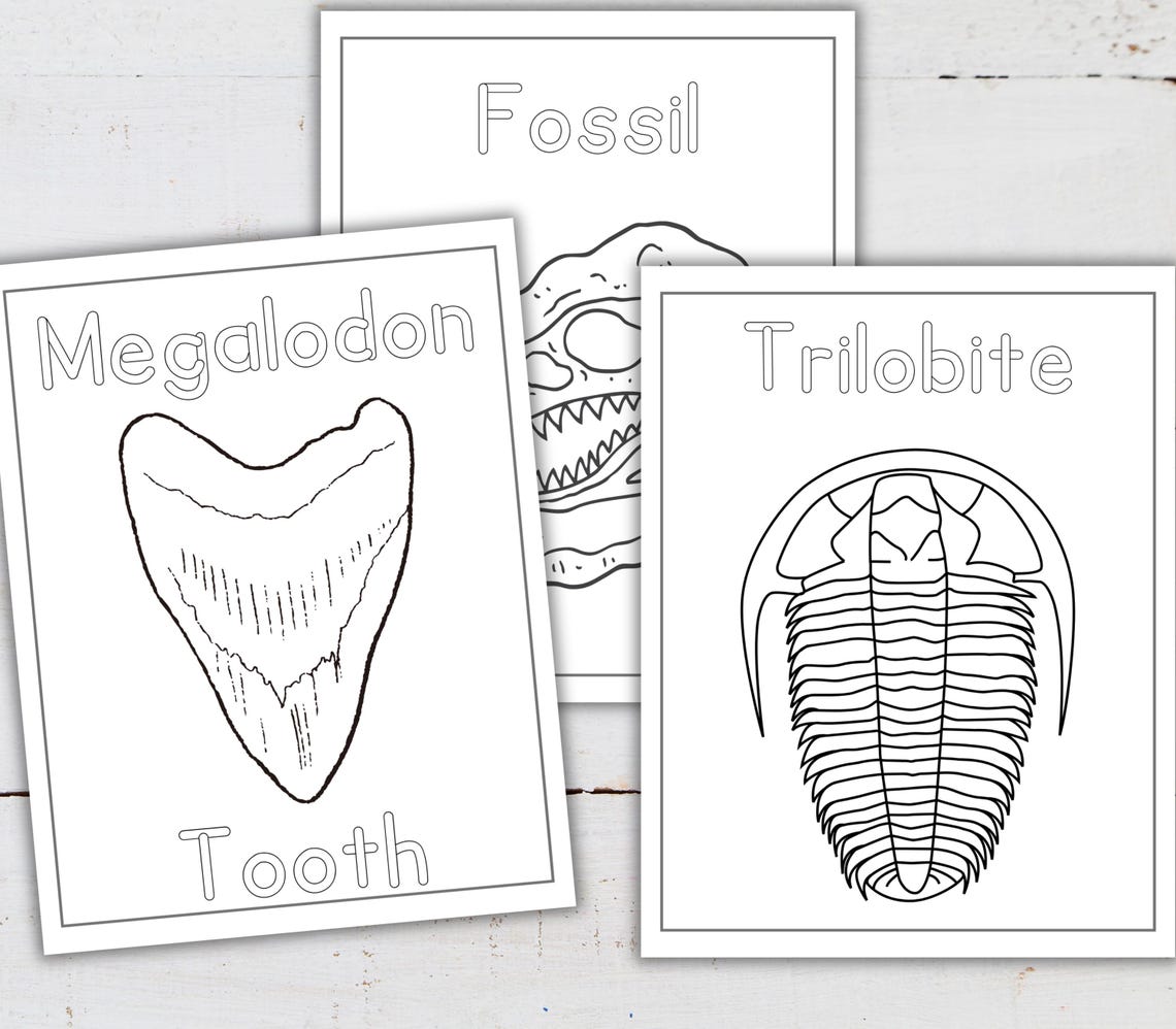 FOSSILS Unit Study, Anatomy, Nature Study, Science, Handwriting ...