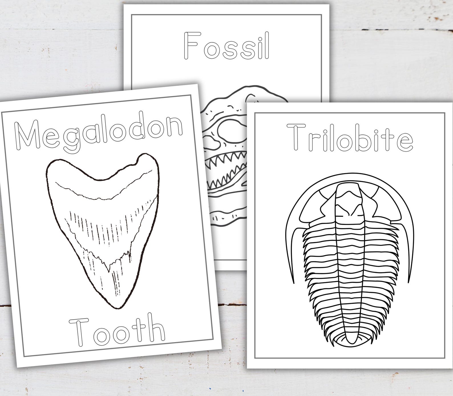 FOSSILS Unit Study, Anatomy, Nature Study, Science, Handwriting ...
