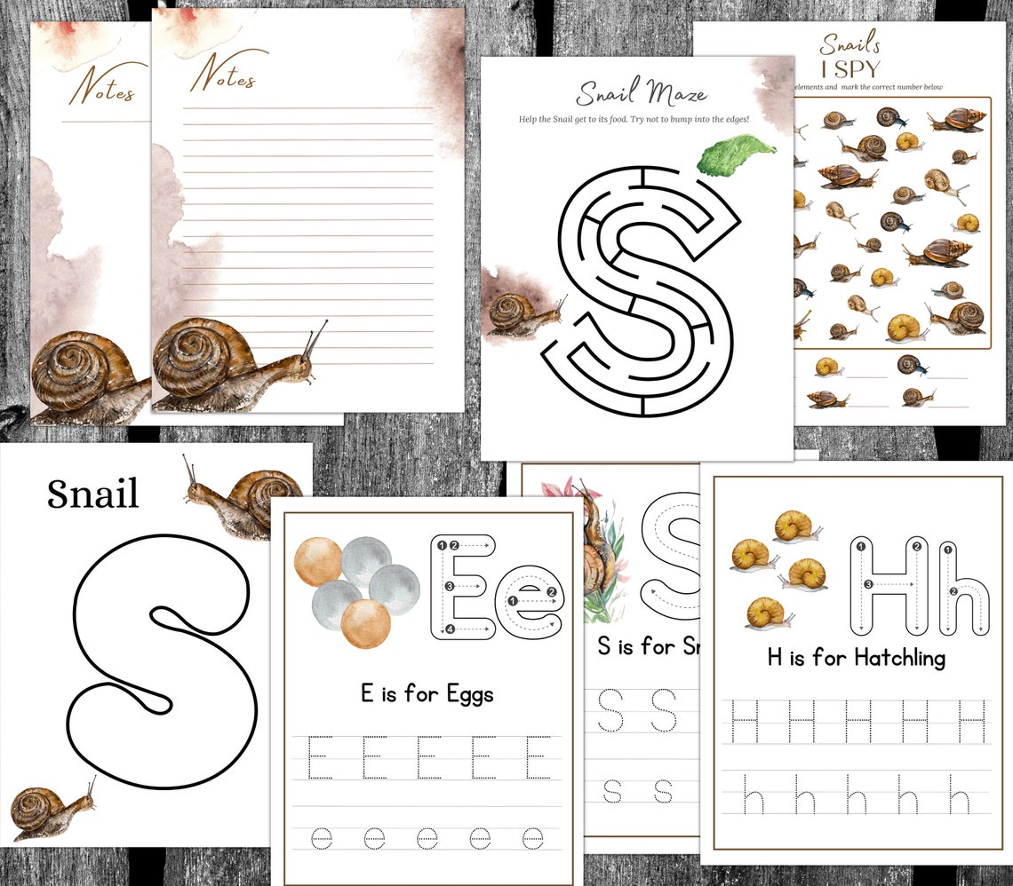 SNAIL Unit Study Life Cycle Anatomy Nature Study Science - Etsy UK