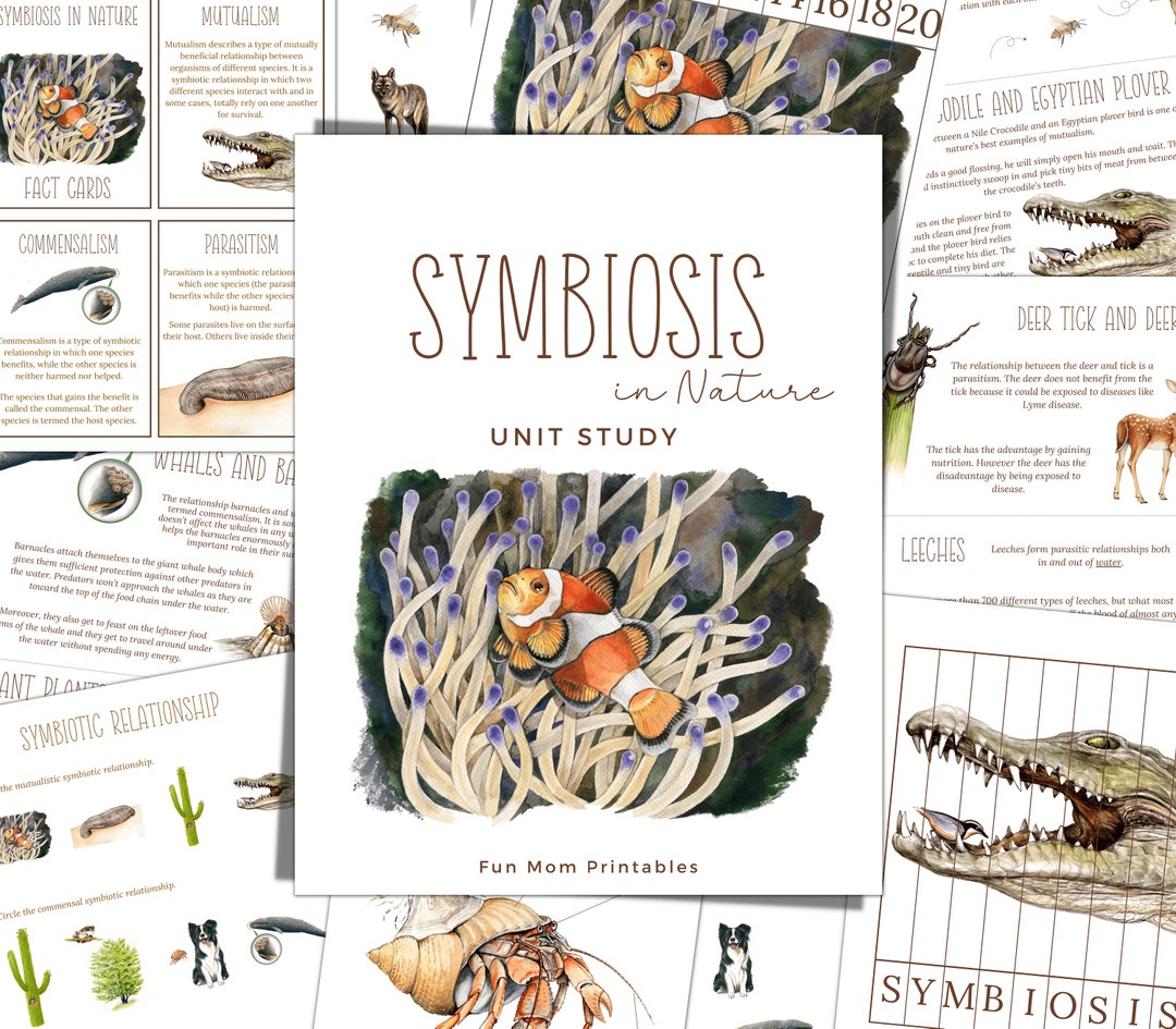 Symbiosis in Nature Unit Study: Homeschool Science (instant Download ...