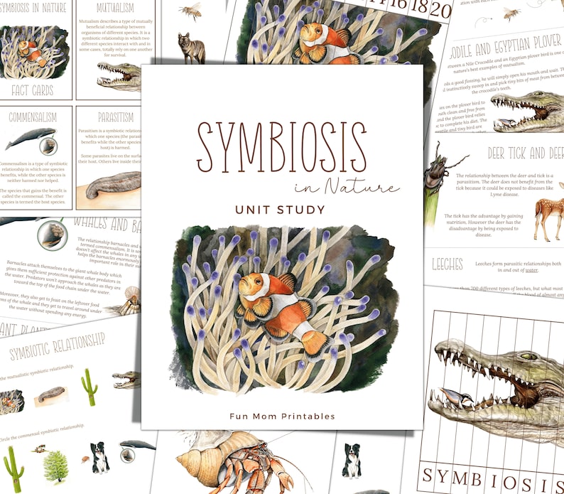 Symbiosis in Nature Unit Study: Homeschool Science (instant Download ...