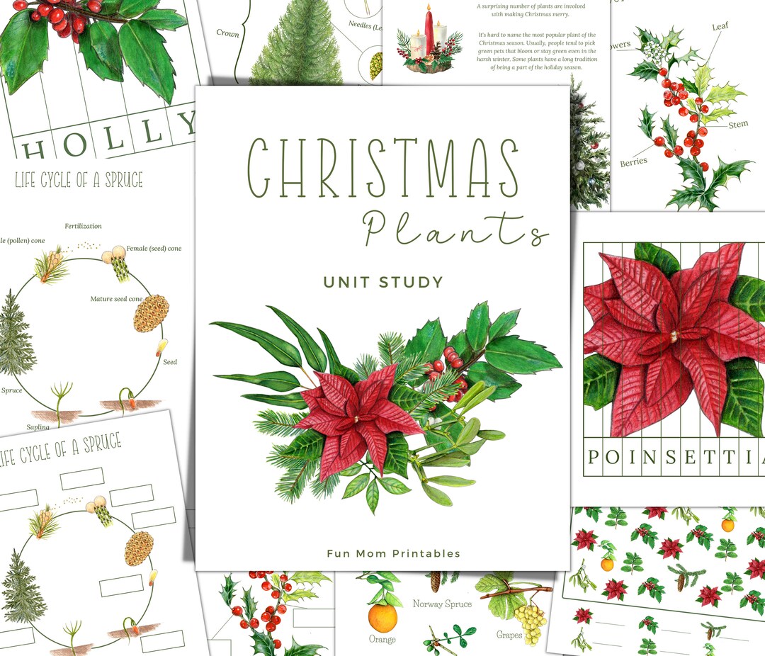 CHRISTMAS PLANTS Unit Study, Vocabulary, Anatomy, Handwriting ...
