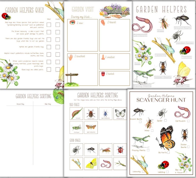 Garden Helpers Unit Study: Insect Anatomy & Life Cycle (digital ...