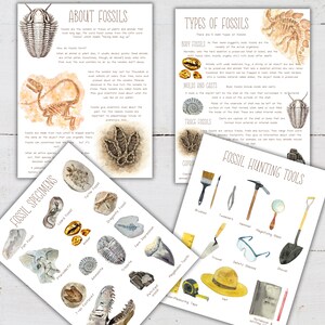 FOSSILS Unit Study, Anatomy, Nature Study, Science, Handwriting ...