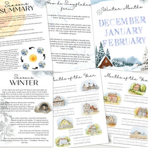 WINTER, Nature Unit Study, Winter Activities, Handwriting, Homeschool ...