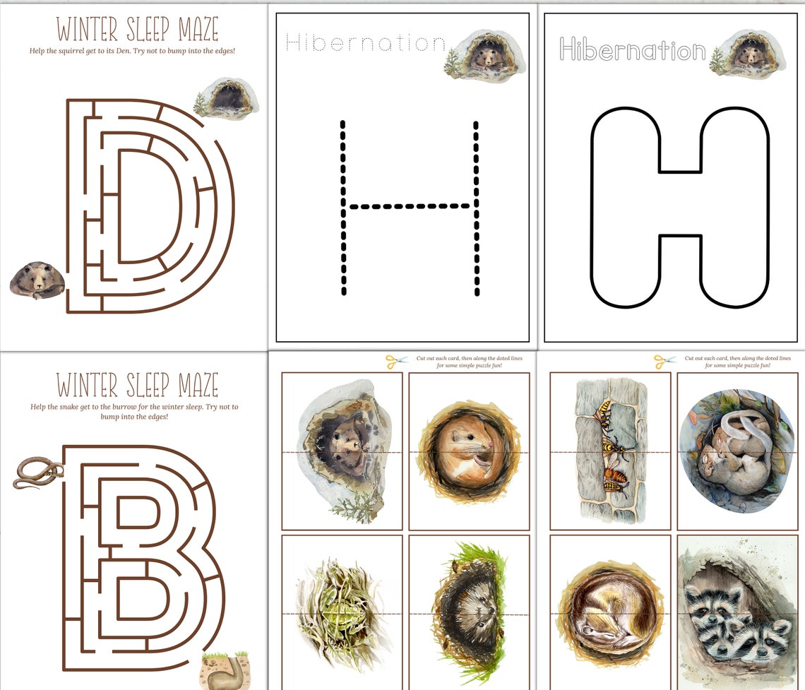 WINTER SLEEP Unit Study, Hibernation, Nature Study, Science ...