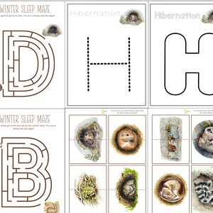 WINTER SLEEP Unit Study, Hibernation, Nature Study, Science ...