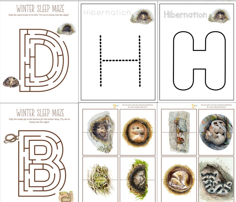WINTER SLEEP Unit Study, Hibernation, Nature Study, Science ...