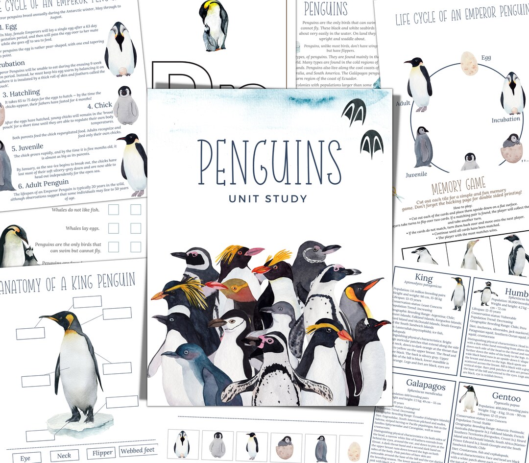 PENGUINS Unit Study, Life Cycle, Anatomy, Nature Study, Science ...