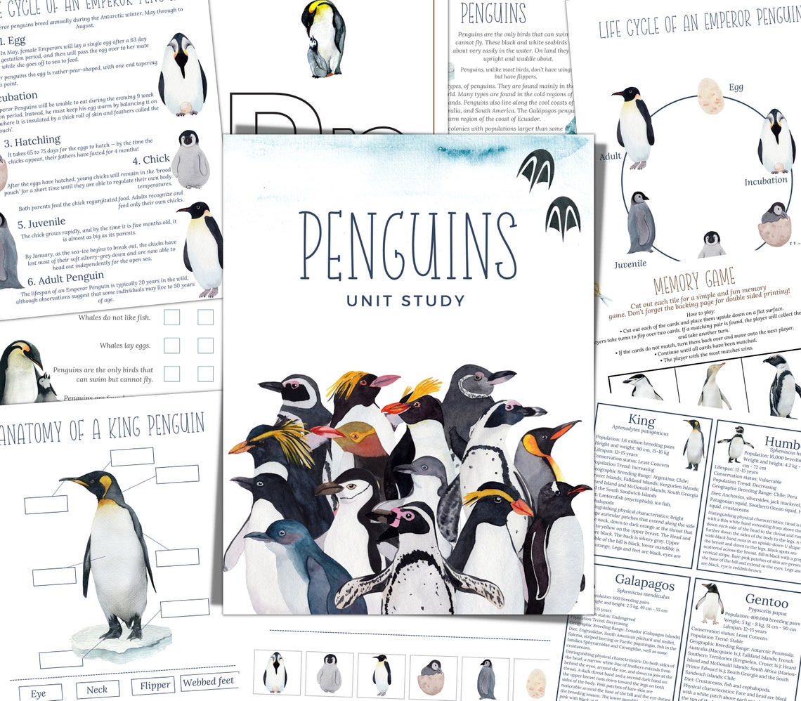 PENGUINS Unit Study Life Cycle Anatomy Nature Study - Etsy