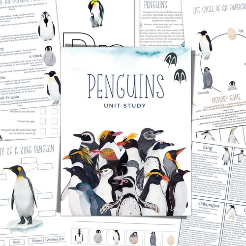 DEER Unit Study Life Cycle Anatomy Nature Study Science - Etsy