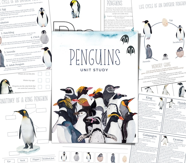PENGUINS Unit Study Life Cycle Anatomy Nature Study - Etsy