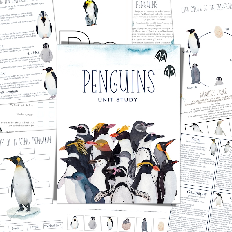 Penguin Study Montessori - Etsy