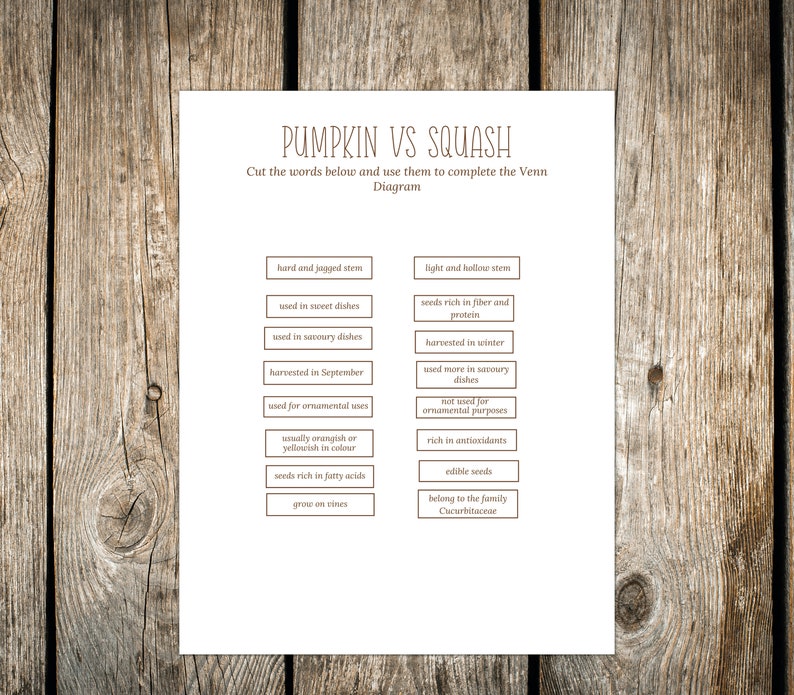 PUMPKIN Vs SQUASH Venn Diagram Activity, Homeschool, Montessori ...