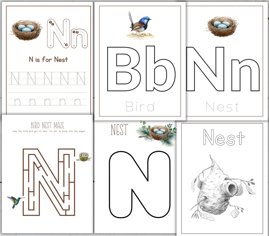 BIRD NESTS Unit Study, Nature Study, Science, Handwriting, Homeschool ...