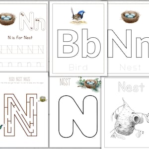 BIRD NESTS Unit Study, Nature Study, Science, Handwriting, Homeschool ...