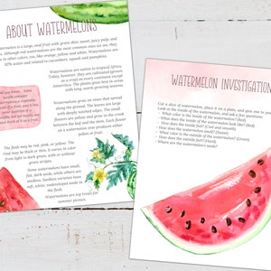 WATERMELON Unit Study, Life Cycle, Anatomy, Nature Study, Science ...