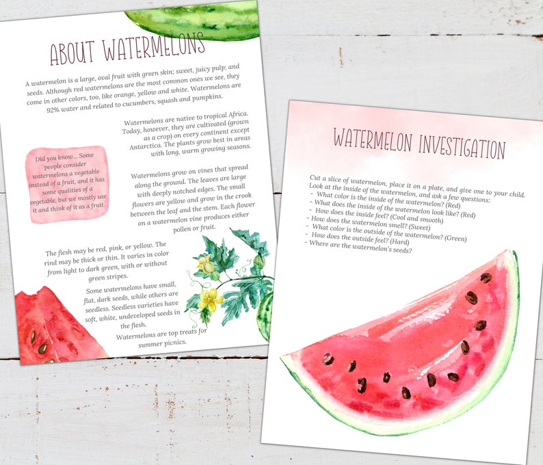 WATERMELON Unit Study, Life Cycle, Anatomy, Nature Study, Science ...